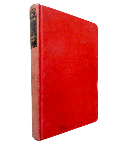 Seal Morning | Rowena Farre – Blompot