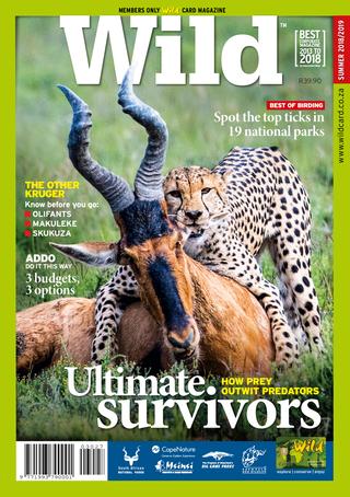 Wild Magazine Sanparks | Summer 2018/2019 – Blompot